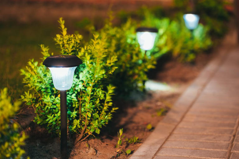 Summer is the best time to attract a hidden prospective buyer: Evening ...