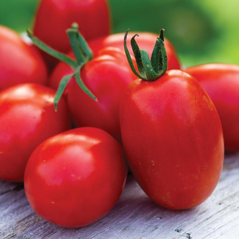 Should you use baking soda to grow sweeter tomatoes? The truth behind ...