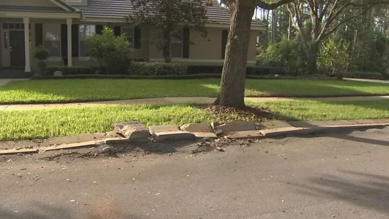 Keene’s Point HOA removes dozens of trees despite county denial ...