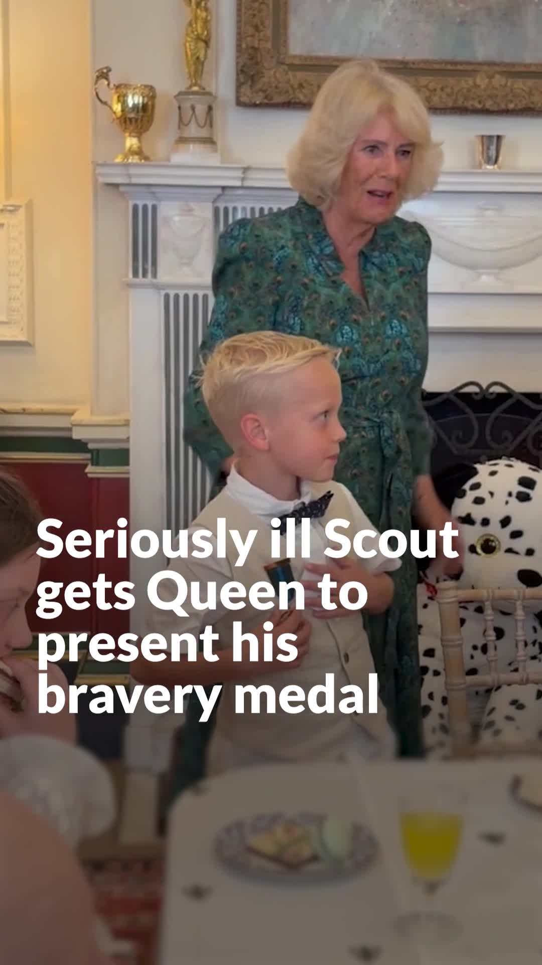 Seriously ill boy gets Queen to present his bravery medal from Scouts