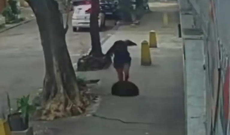 Shocking video shows woman fall into manhole after cover gives way ...