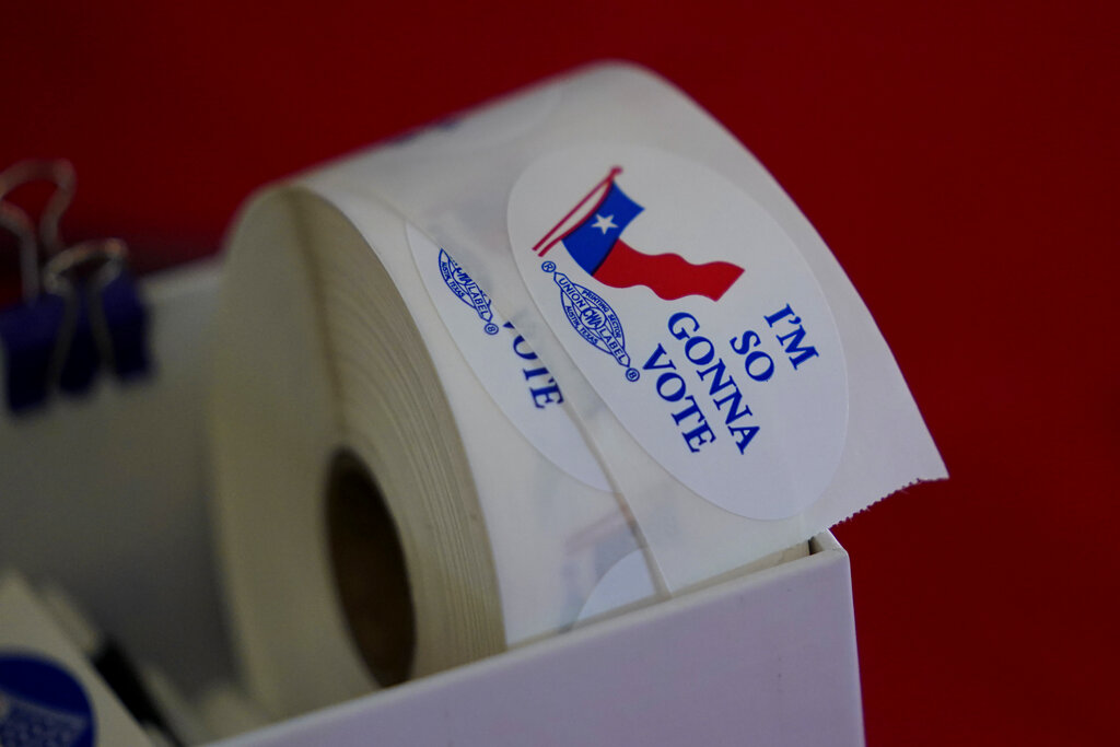 Texas elections chief steps down ahead of midterm elections