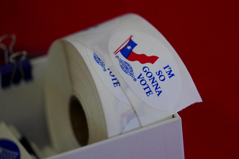 Texas elections chief steps down ahead of midterm elections