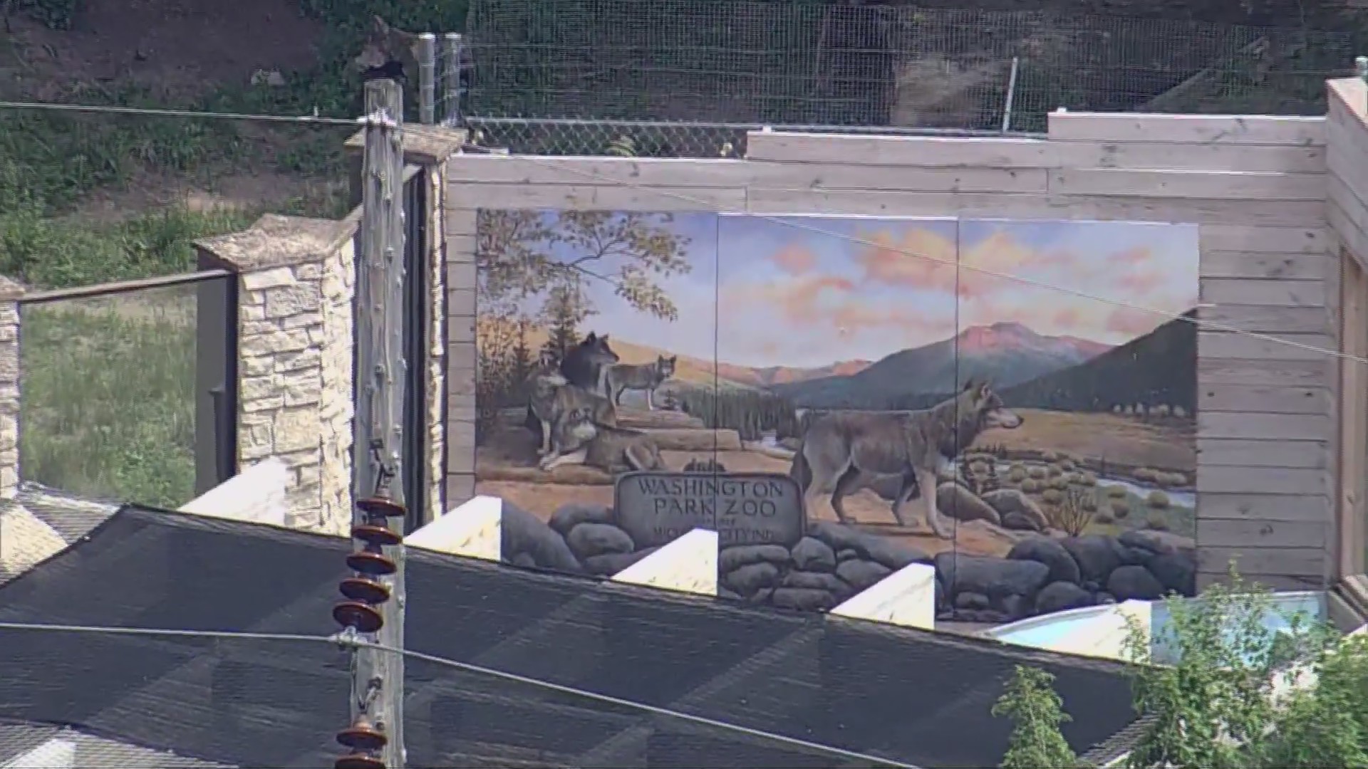 Employees injured in wolf attack at Michigan City zoo