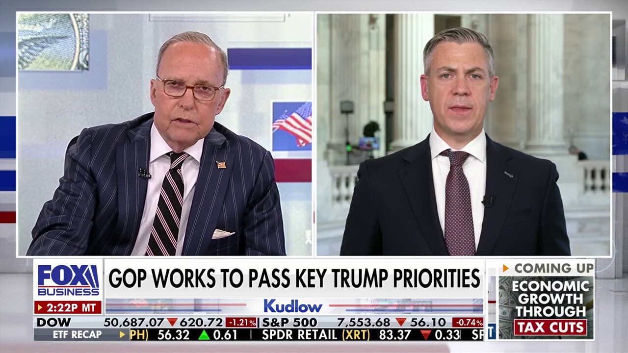 GOP lawmaker blasts Democrats for opposing border security, ICE funding
