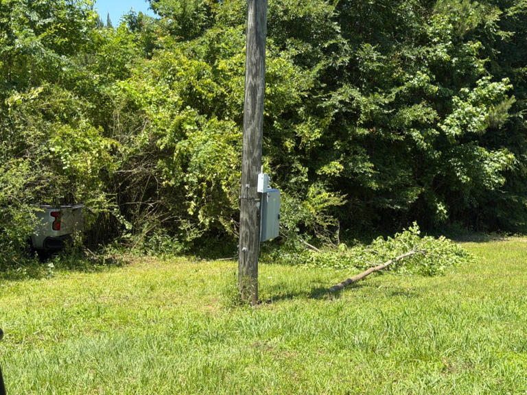 One person injured in single-vehicle Smiths Station crash