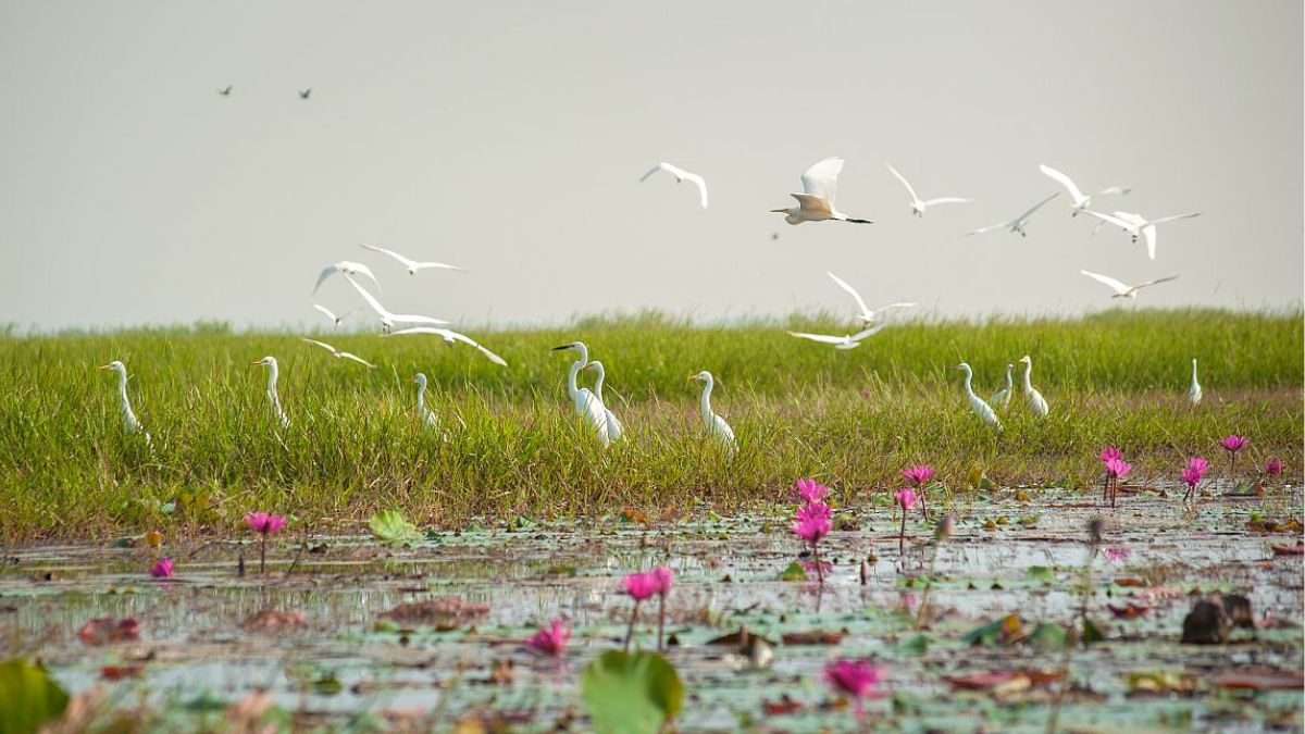 Ramsar sites in India: 10 most important GK quiz questions (last 10 ...