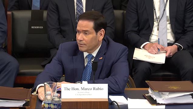 Trump will attend July NATO summit in Turkey, Rubio says