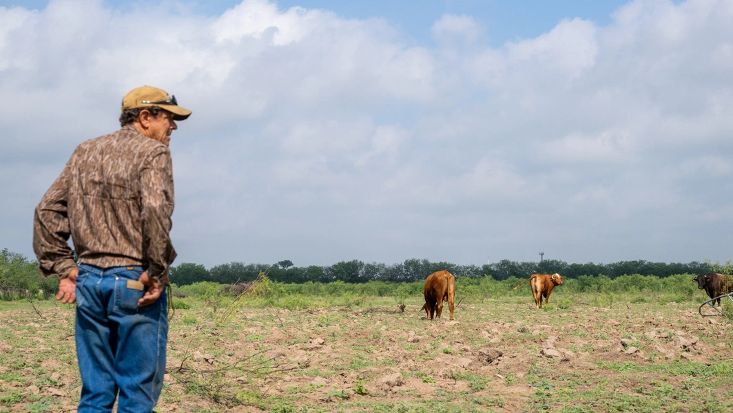 Rising beef costs push Texas BBQ icons to closure