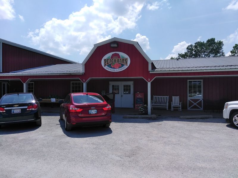 The 12 best ‘Food Worth the Drive’ road trips in Oklahoma this summer