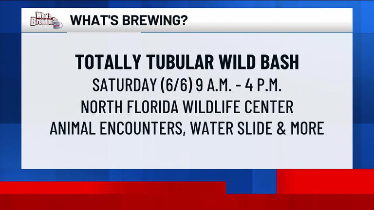 What’s brewing - Totally tubular wild bash