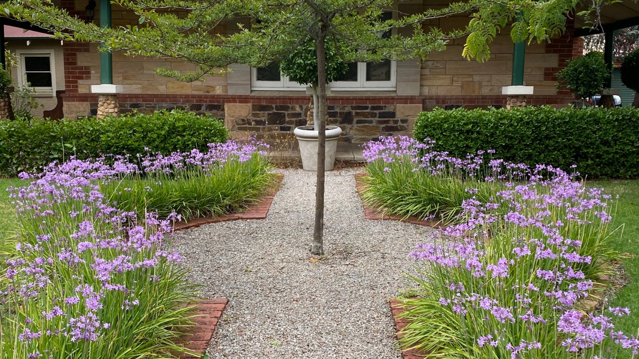 10 outdated landscaping trends you’ll regret keeping