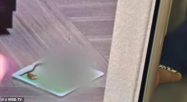 IRS workers plagued by infestation of giant rats so big that traps don ...
