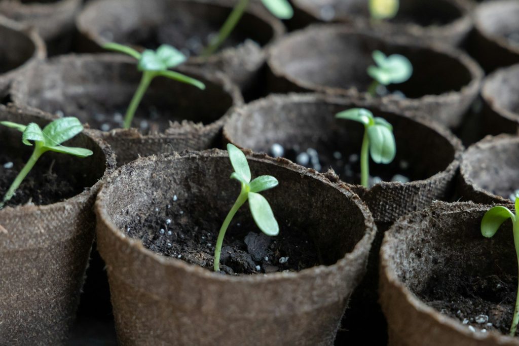 8 easy DIY ideas using cardboard rolls