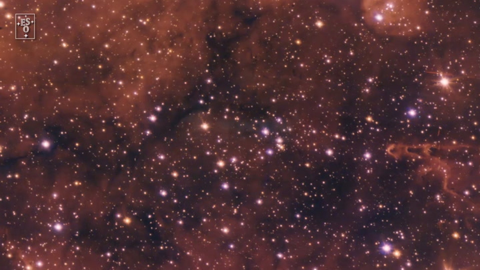 Nebula has features that resemble a 'smiling cat' in VLT Survey ...