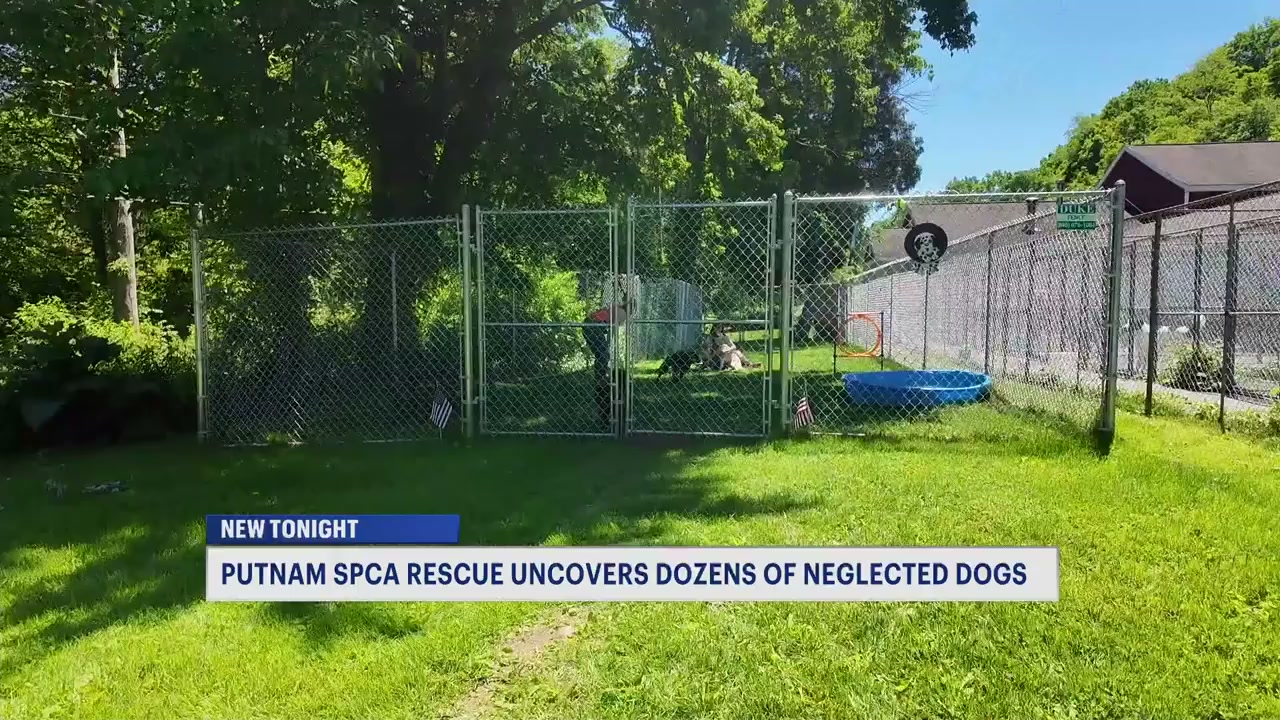 Putnam County man arrested on 34 counts of alleged animal cruelty