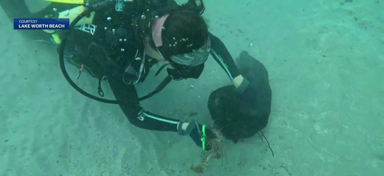 Divers remove debris from Lake Worth Beach pier