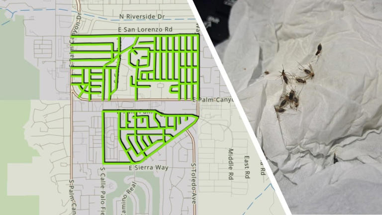 Mosquito control operations set to start following West Nile virus ...