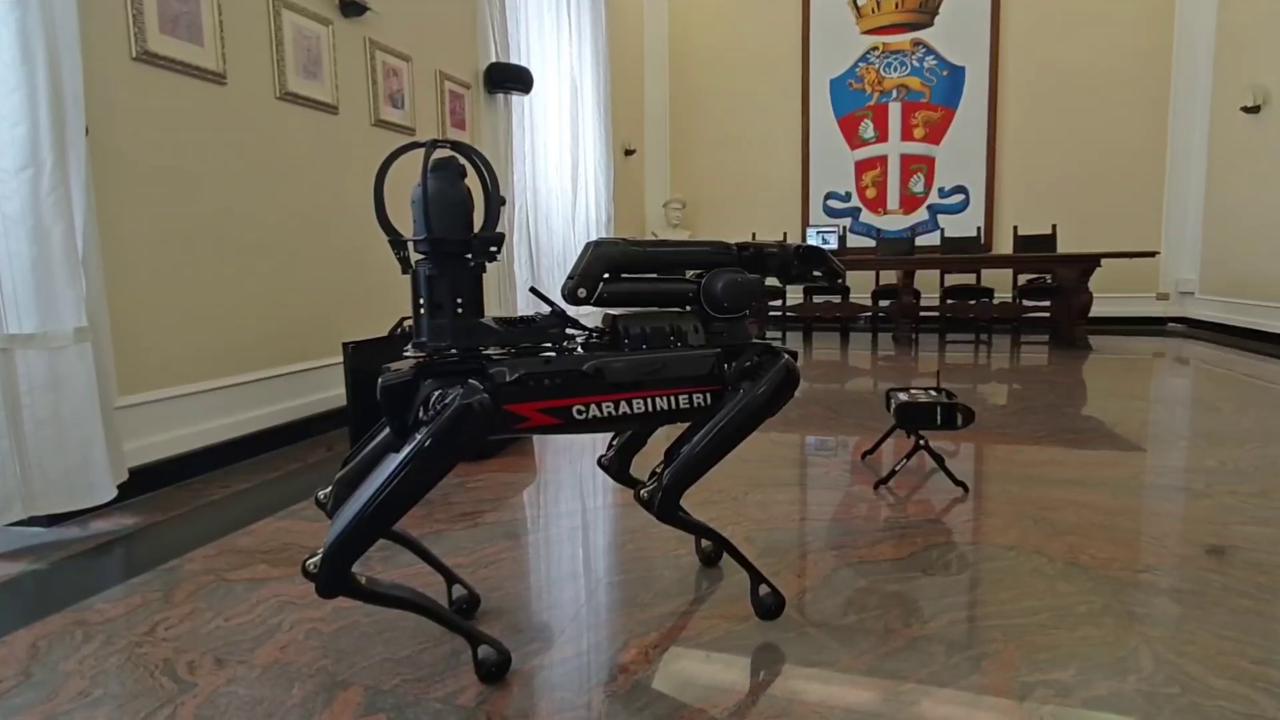 Saetta, i carabinieri svelano il cane robot: "Interverrà nelle ...