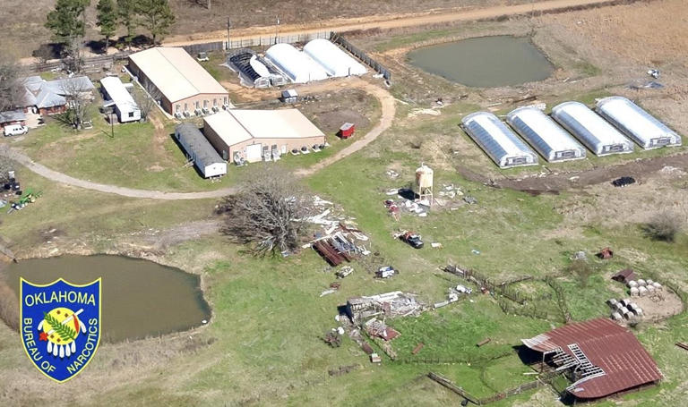 Thousands of marijuana plants seized, one arrested during Atoka grow bust