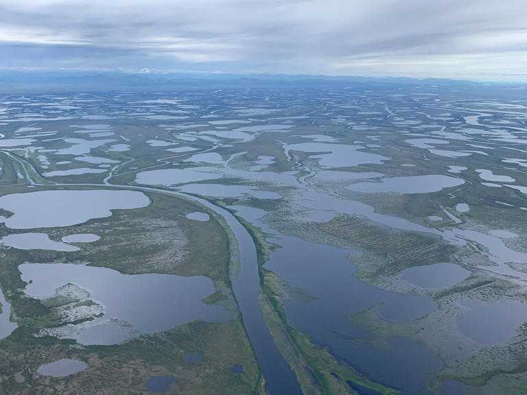 Arctic river deltas face rising climate pressure while holding vast ...