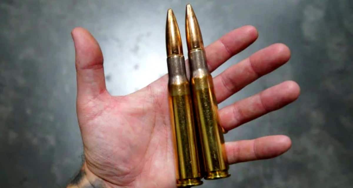 The most powerful big game hunting cartridges ever made