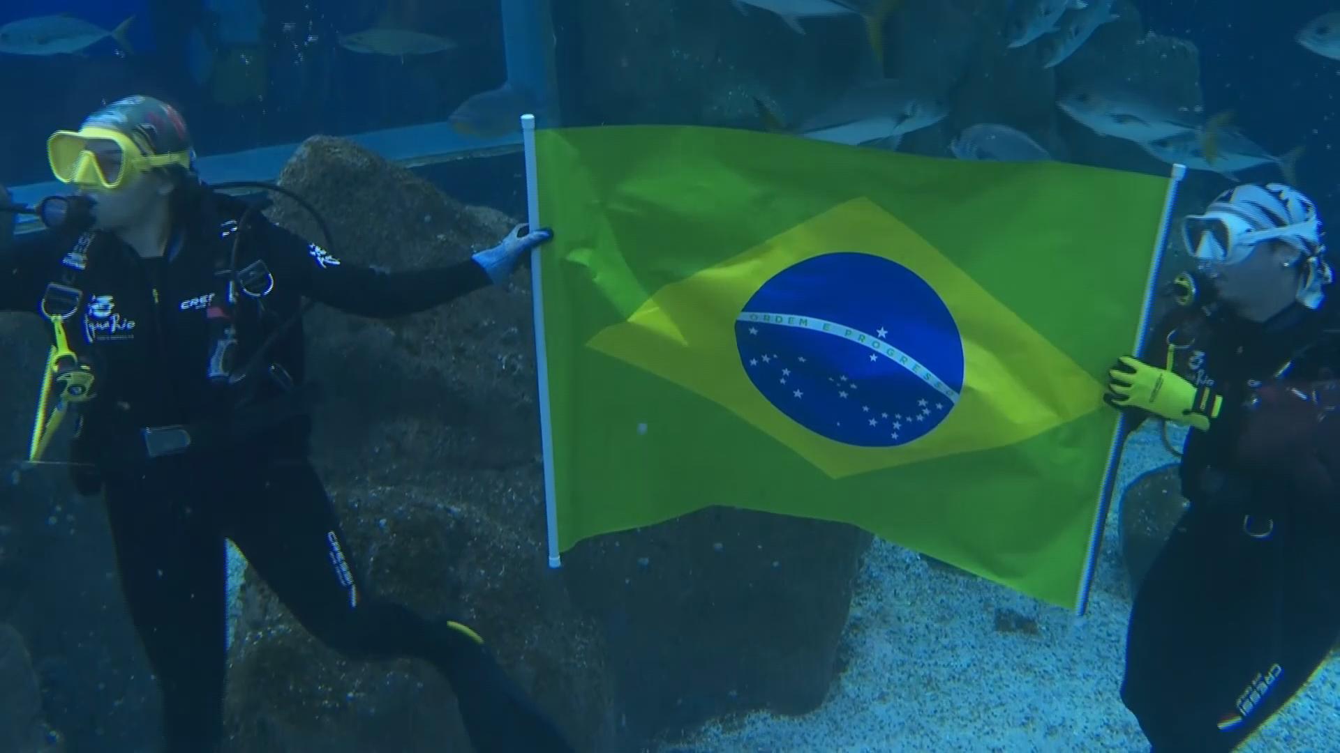 Ritinha the leopard shark 'predicts' win for Brazil in opening FIFA ...