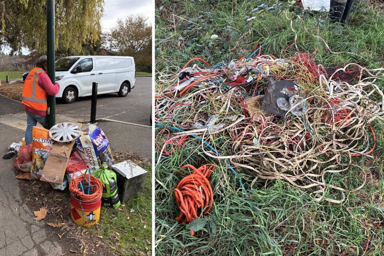 20kg illicit find in blackberry bush exposes tradie issue pushing up ...