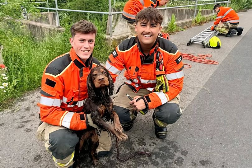 Firefighters' daring rescue from Yorkshire storm drain of 'over-curious ...