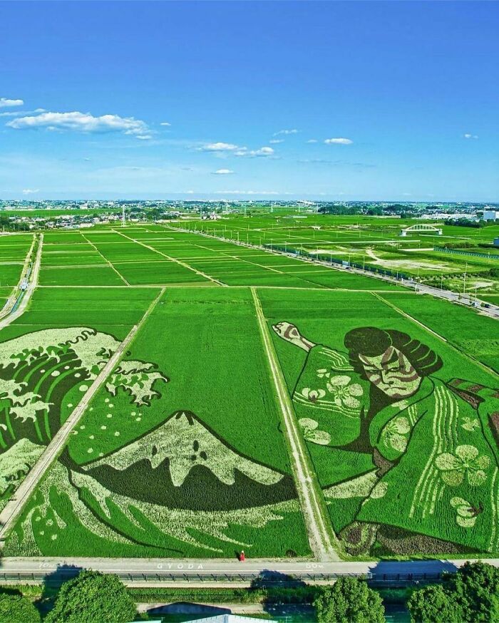 50 Japanese inventions that show off how distinct the country is from ...