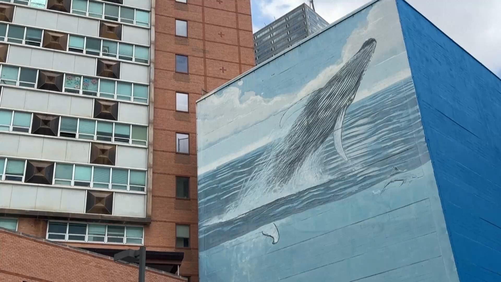 Artist suing FIFA over destruction of Dallas whale mural before World Cup