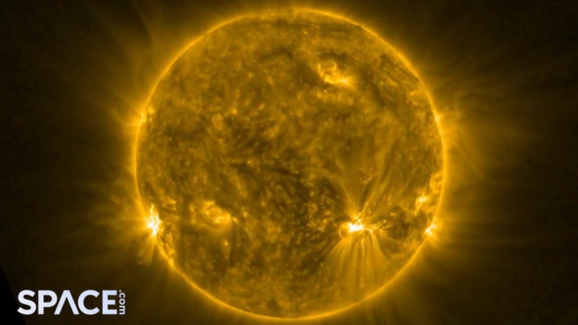 Watch a 'solar snake' slither across the sun in orbiter view