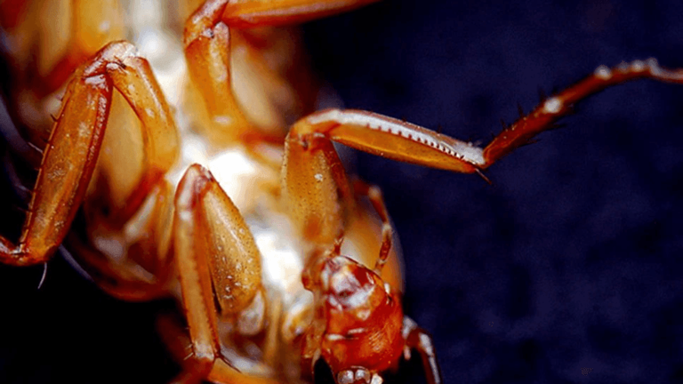 33 roaches, 12 droppings: Greenacres and Lake Worth bars hit with stop ...