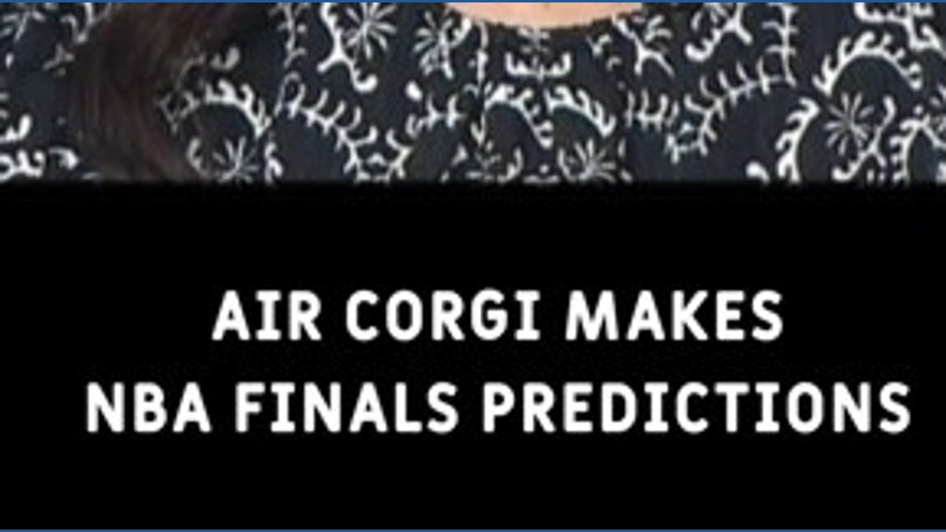 Air Corgi makes NBA Finals predictions
