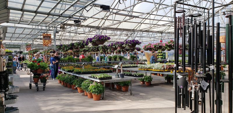 This hidden Oklahoma greenhouse is a 90,000-square-foot paradise that ...