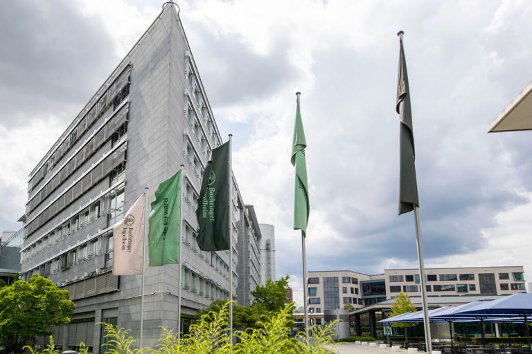 Eli Lilly und Boehringer streichen Investitionen