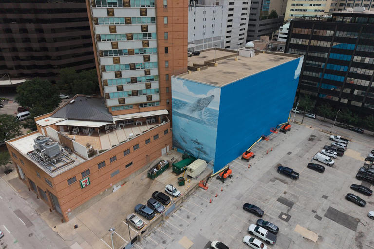 Artist suing FIFA over destruction of Dallas whale mural before World Cup
