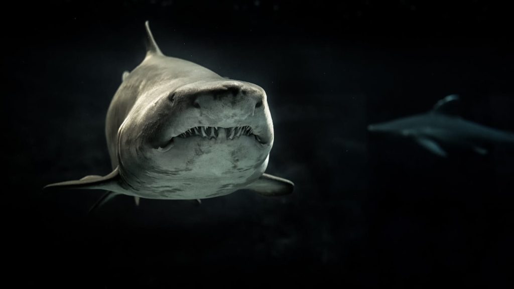 Sea creatures so massive they make great white sharks look tiny