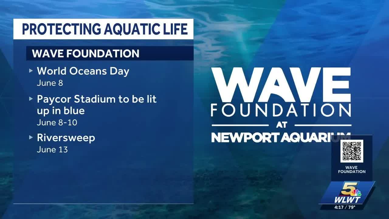 WAVE Foundation cultivates future environmental stewards