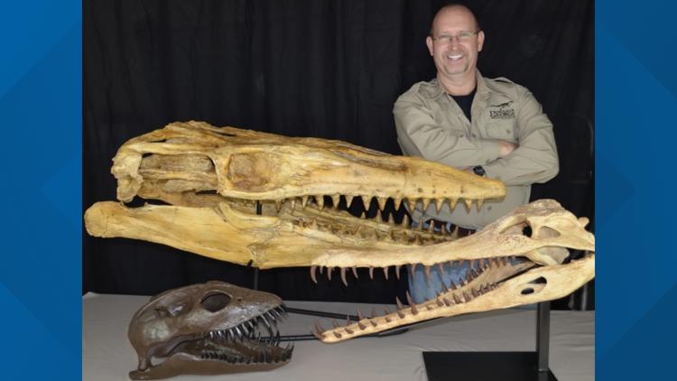 Dinosaur George Traveling Museum brings prehistoric exhibit to Belton