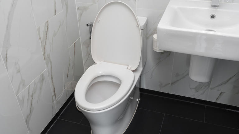 The difference between round and elongated toilets, and which is right ...
