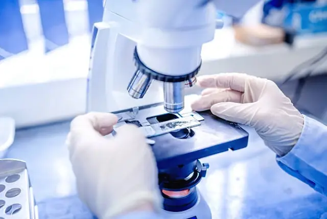 AlgaeVisión: el proyecto universitario que logró detectar microalgas ...