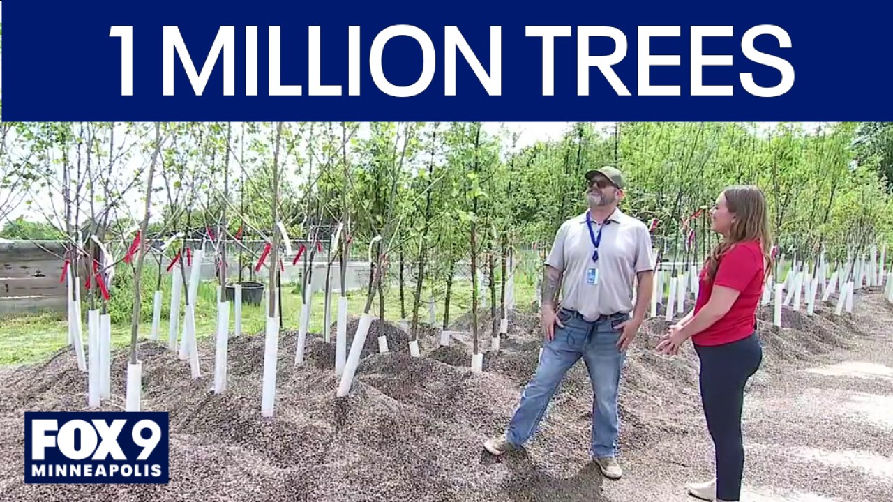 Hennepin County program to plant 1 million trees
