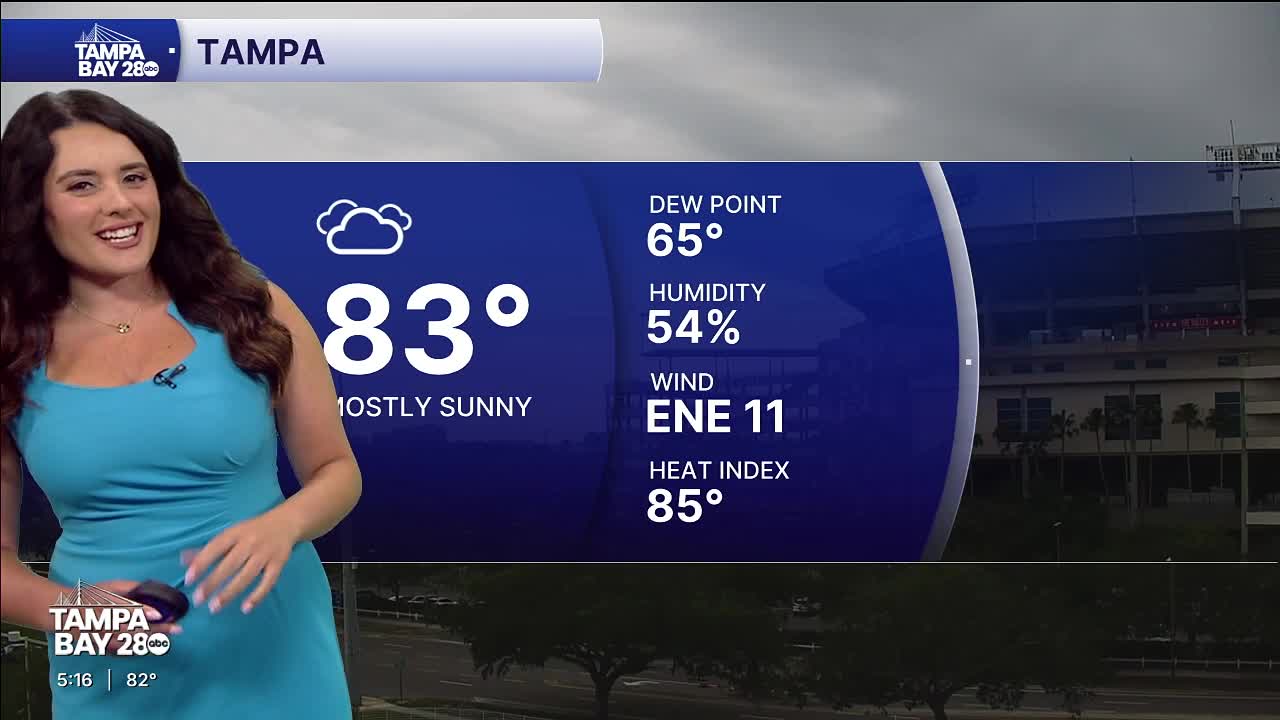 Forecast: Mostly dry, breezy and mild end to Wednesday