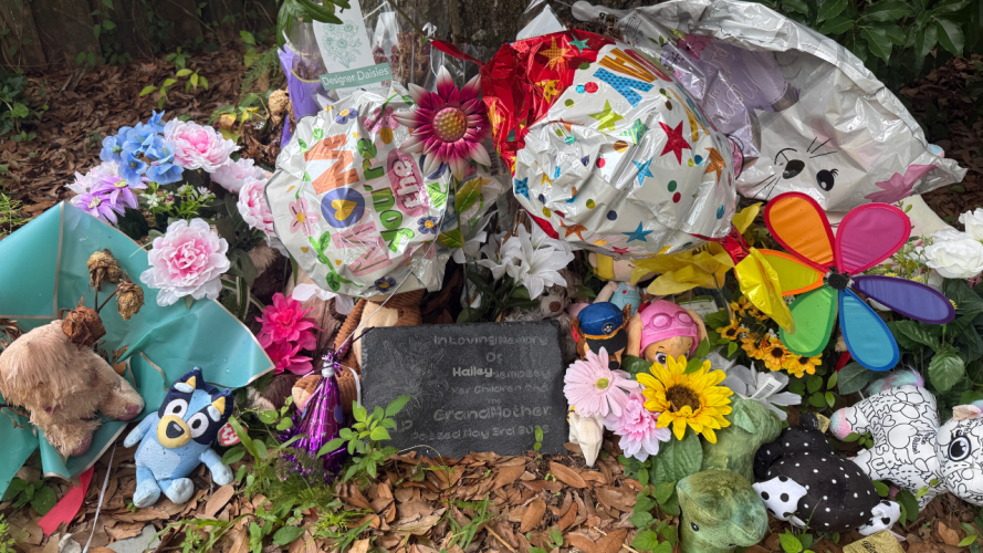 Plant City quadruple murder remains unsolved a month after killings