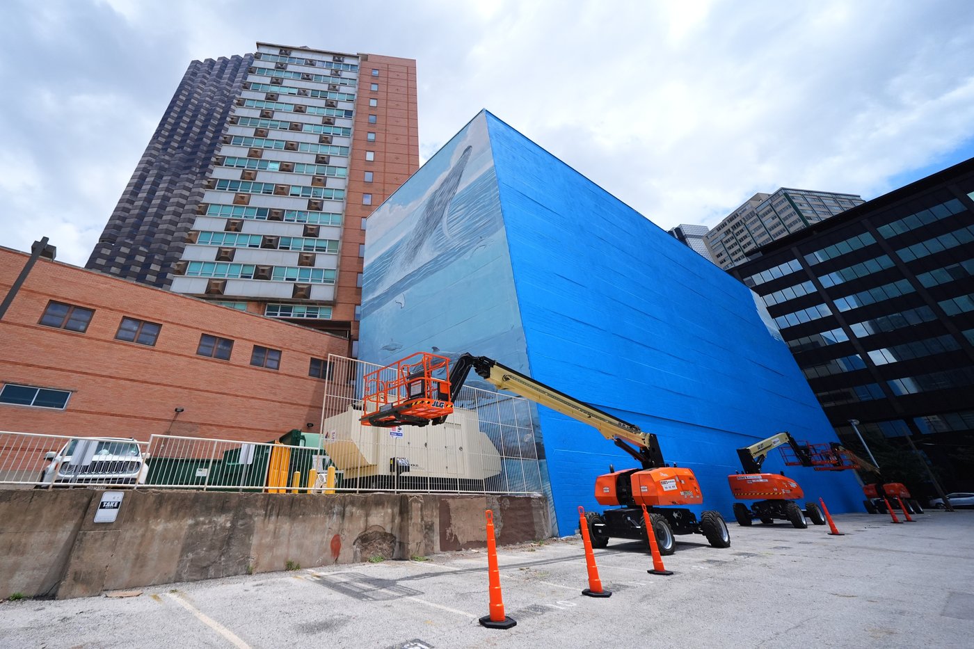 Artist suing FIFA over destruction of Dallas whale mural before World Cup