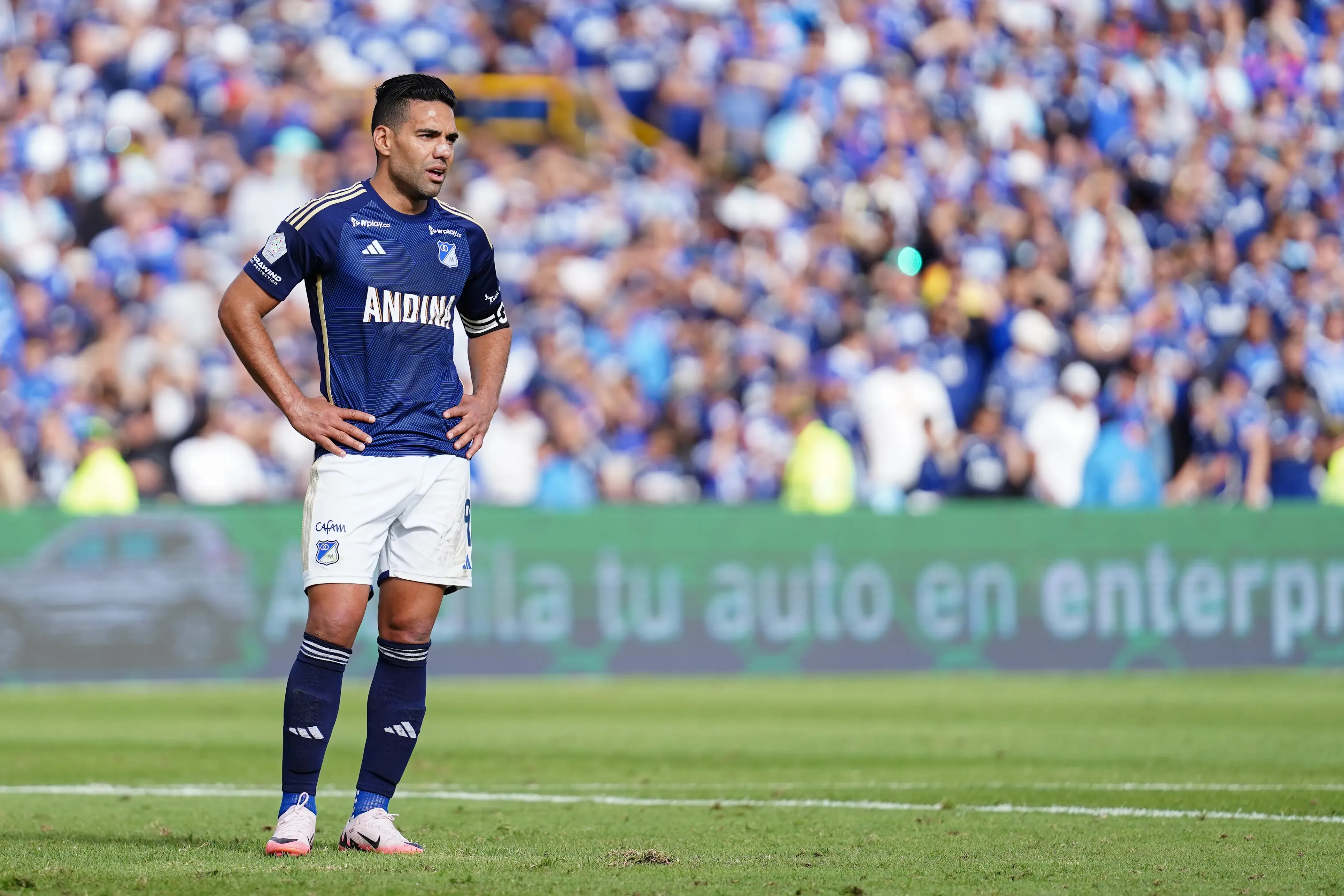 Millonarios analiza continuidad de Fabián Bustos y ya hay candidatos a ...