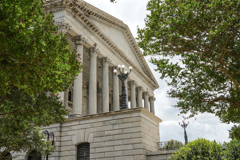 South Carolina Democratic governor candidates face off in debate June 3