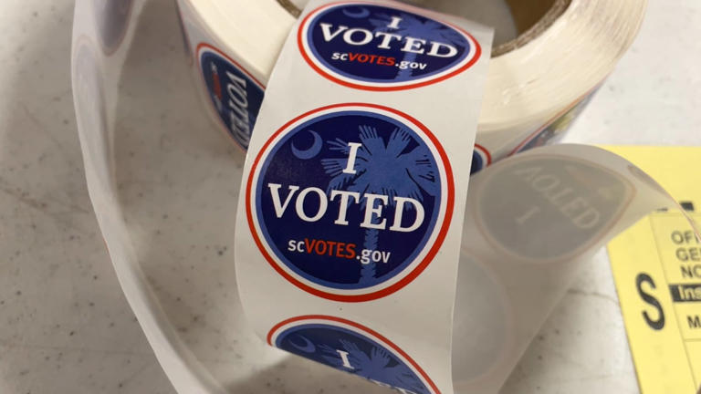 2026 South Carolina primary election: What to know at the polls