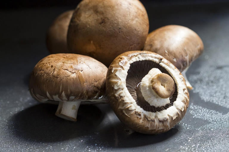 How to store mushrooms so they don't turn slimy before you can use them